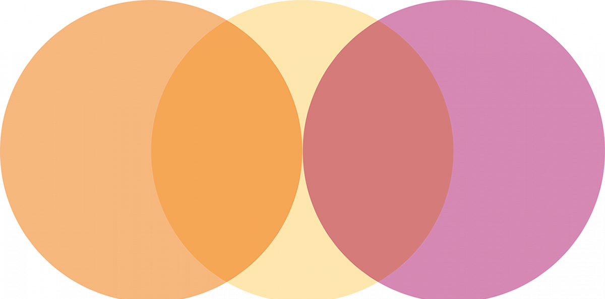 Swisscontact en imágenes - Noticias - Site