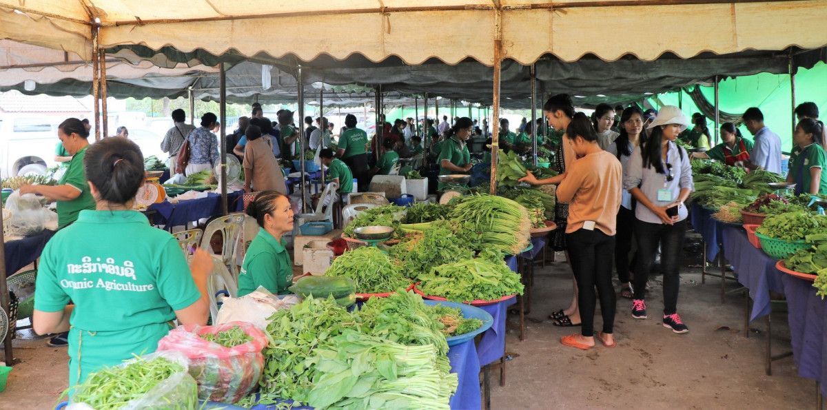 ASSET - Projects - Site