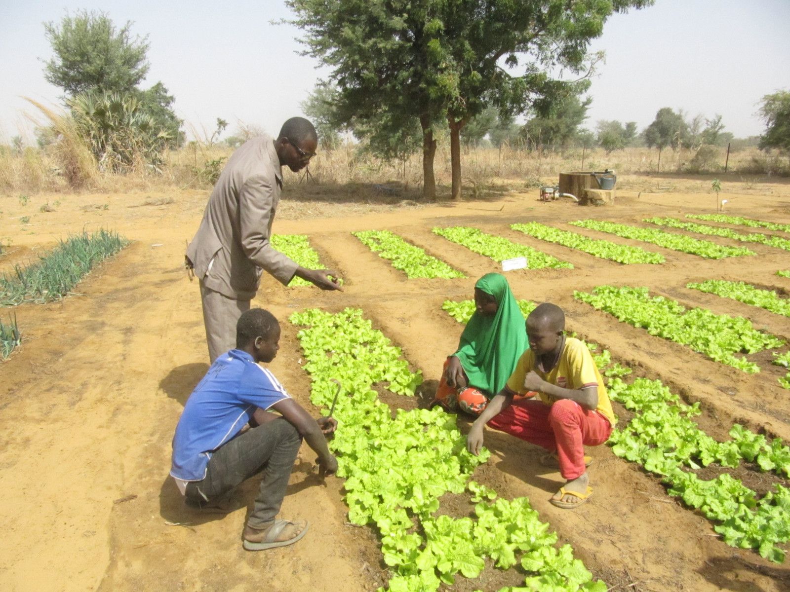 Concept SIFA - SIFA - FOPROR - Projets - Site