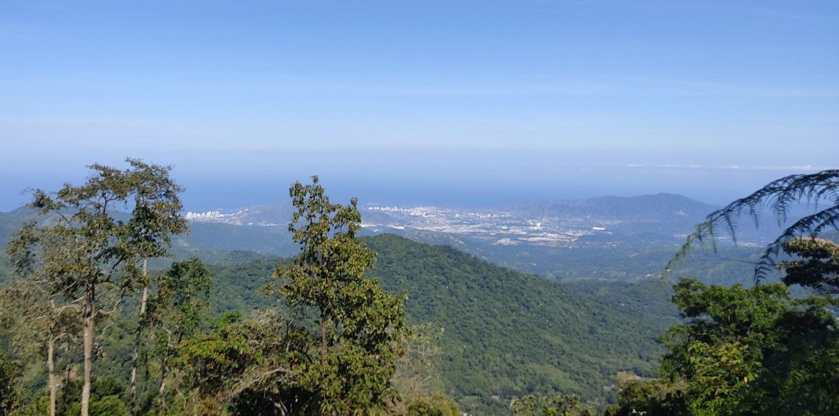 Promoting Nature Tourism to Prevent Deforestation - Projects - Site