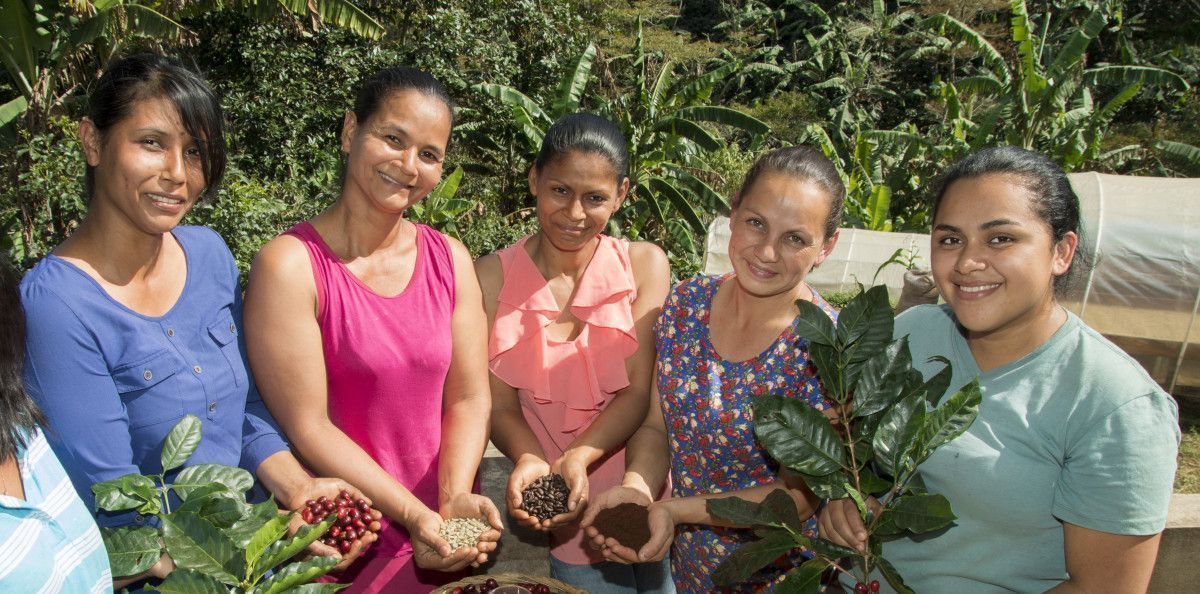 Empowering coffee producers through training in human rights - Projects ...
