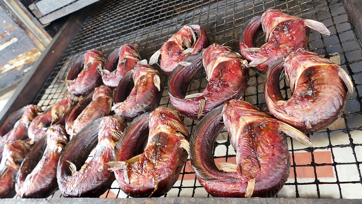 Le point de vue des partenaires : La Coopérative des Distributeurs de ...