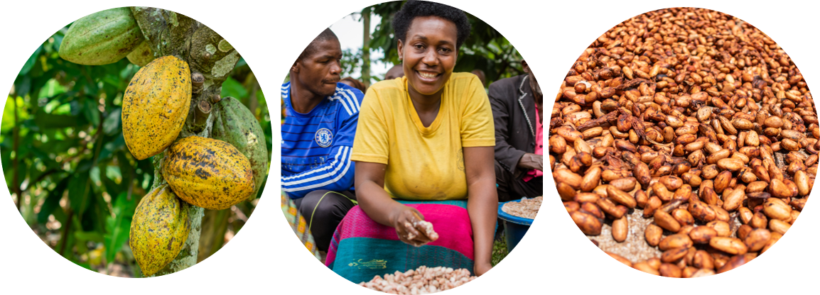 Bridging the information gaps on smallholder farmers through digital ...