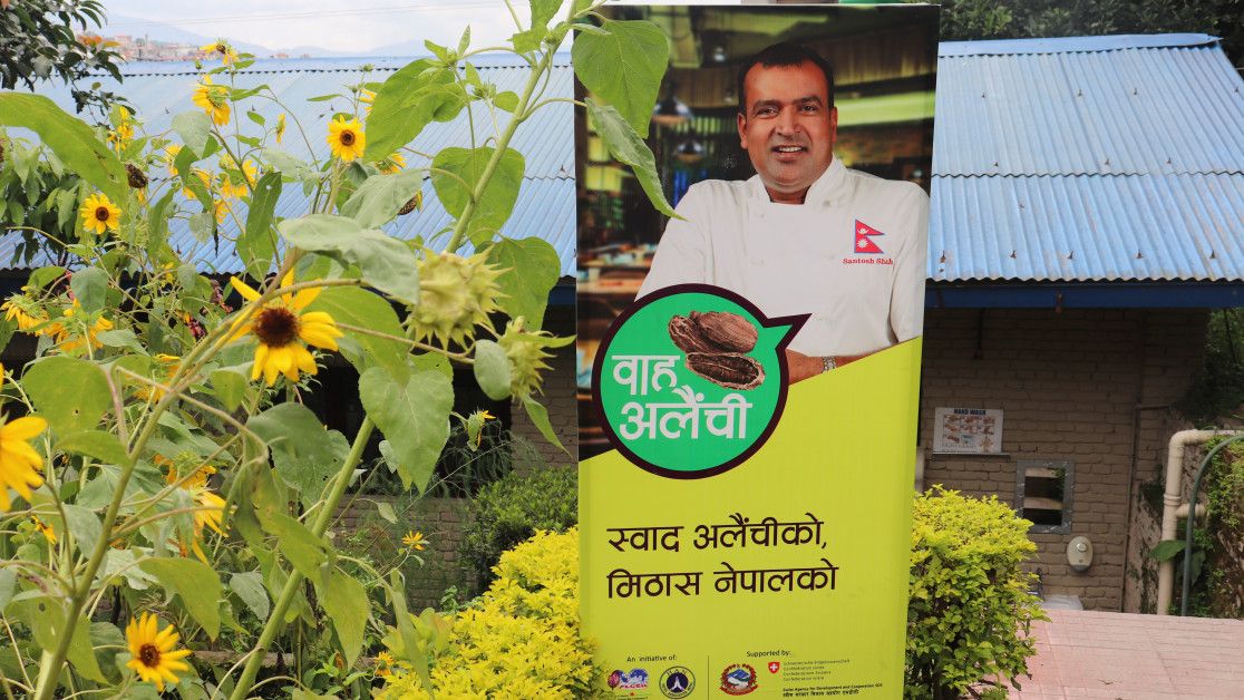 Launch of 'Wah! Alaichi' Campaign - News - Site