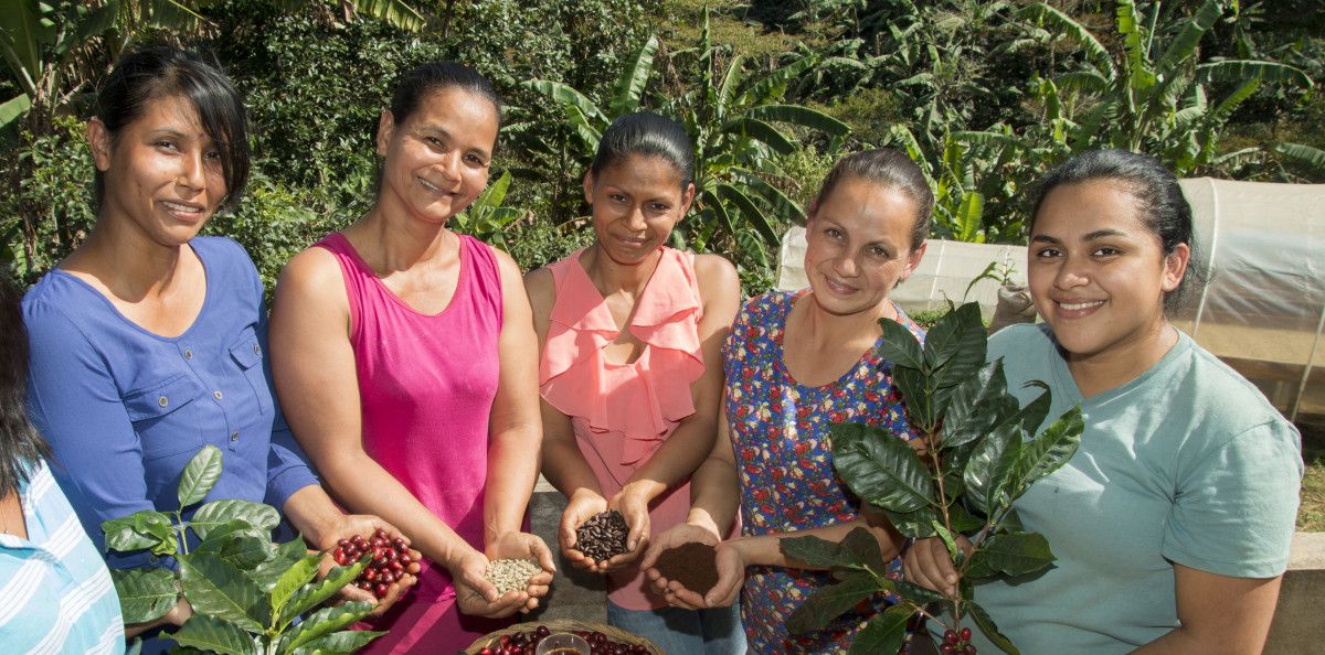 PROGRESA - Projets - Site