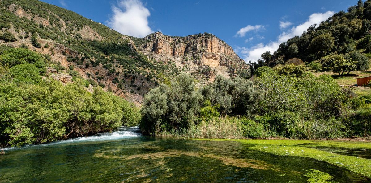 Outdoor activities to promote biodiversity in Ifrane National Park ...
