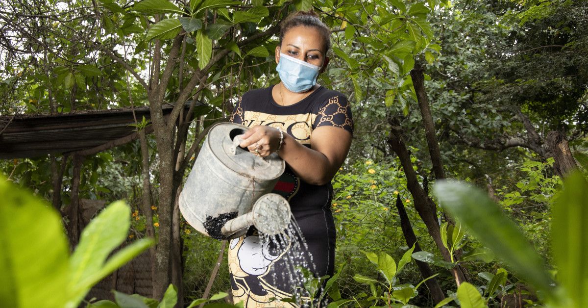 Project case study Honduras - Results and Impact - Annual Report 2020 ...