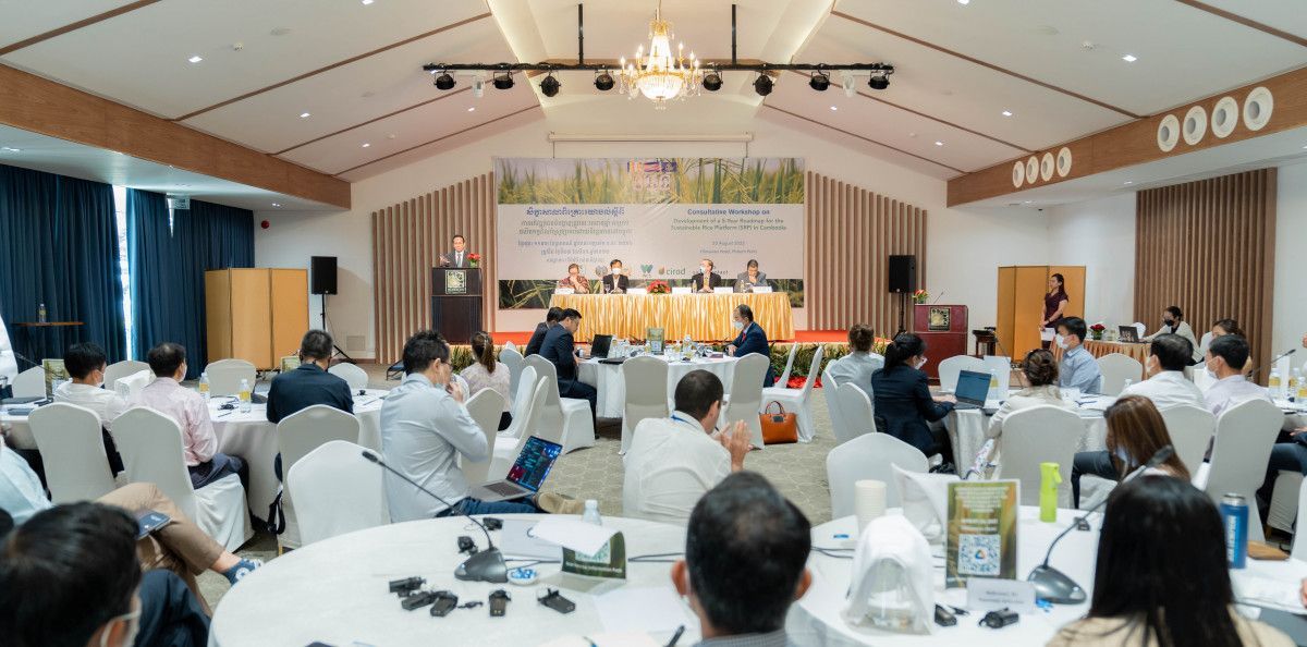 Consultation Workshop on SPR’s 5-year roadmap development - News - Site