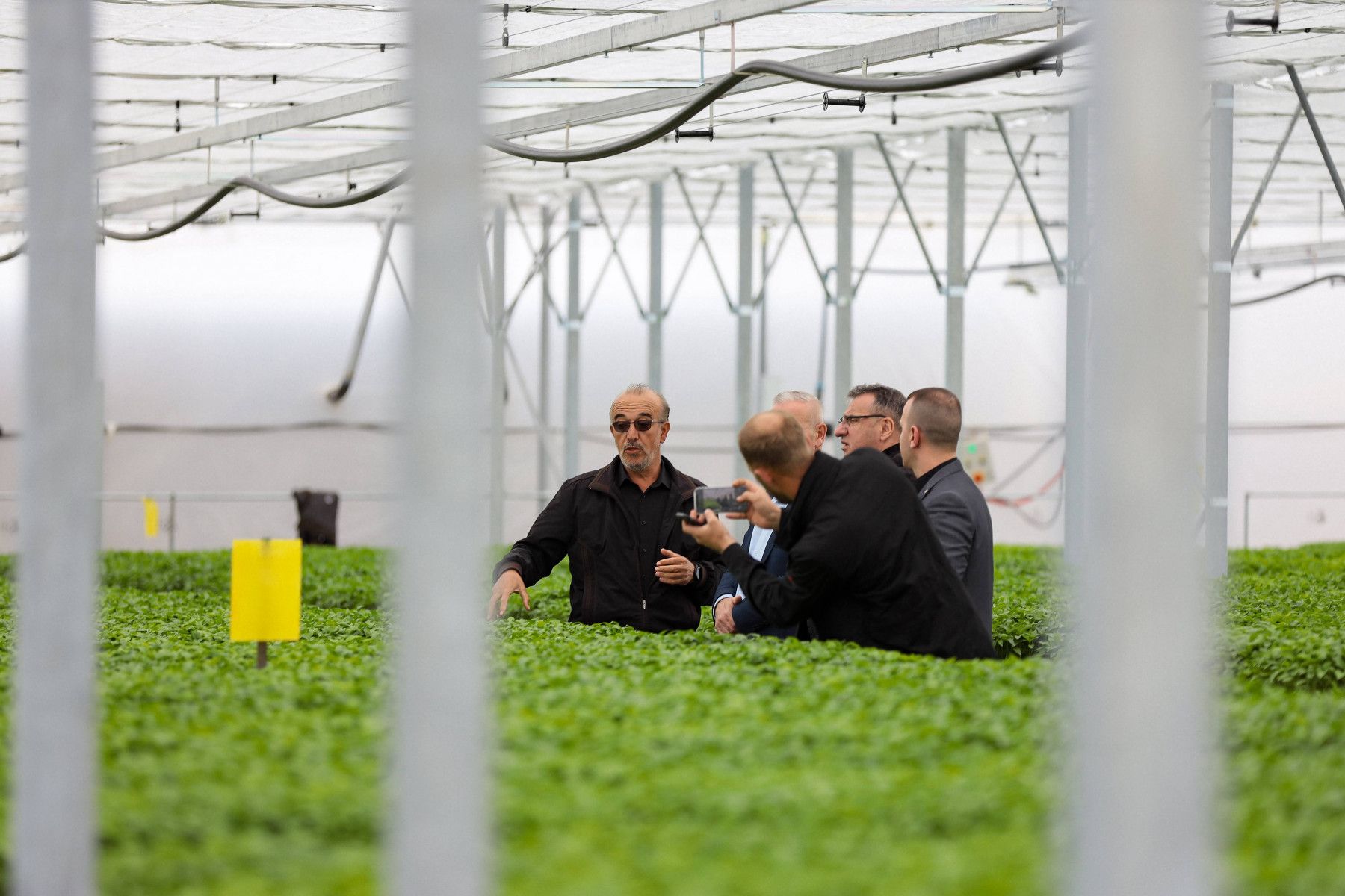 Modernizing vegetable seedling nurseries to empower farmers in Kosovo ...