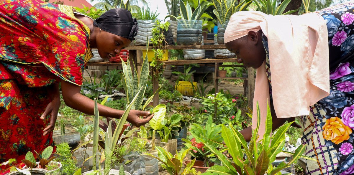 Digital Flowers: A Vocational Training Programme to Equip Young Mothers ...