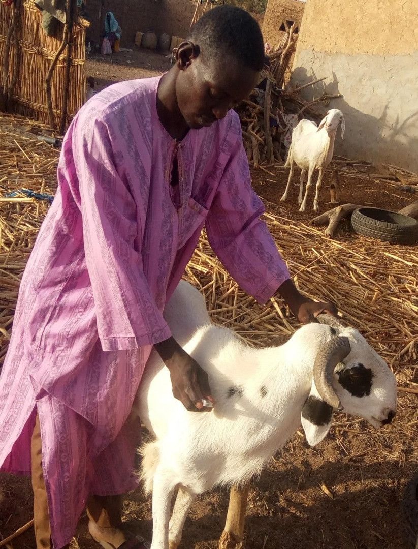 Making a Living through Training in Cattle Feed Production and Breeding ...