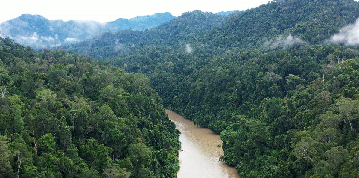 Sustainable Landscape Program Indonesia - Projects - Site