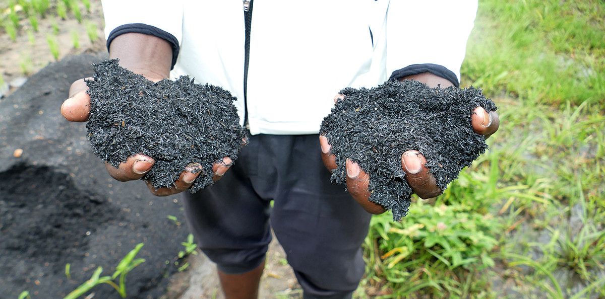 Biochar: A key to combating the effects of climate change in Benin ...