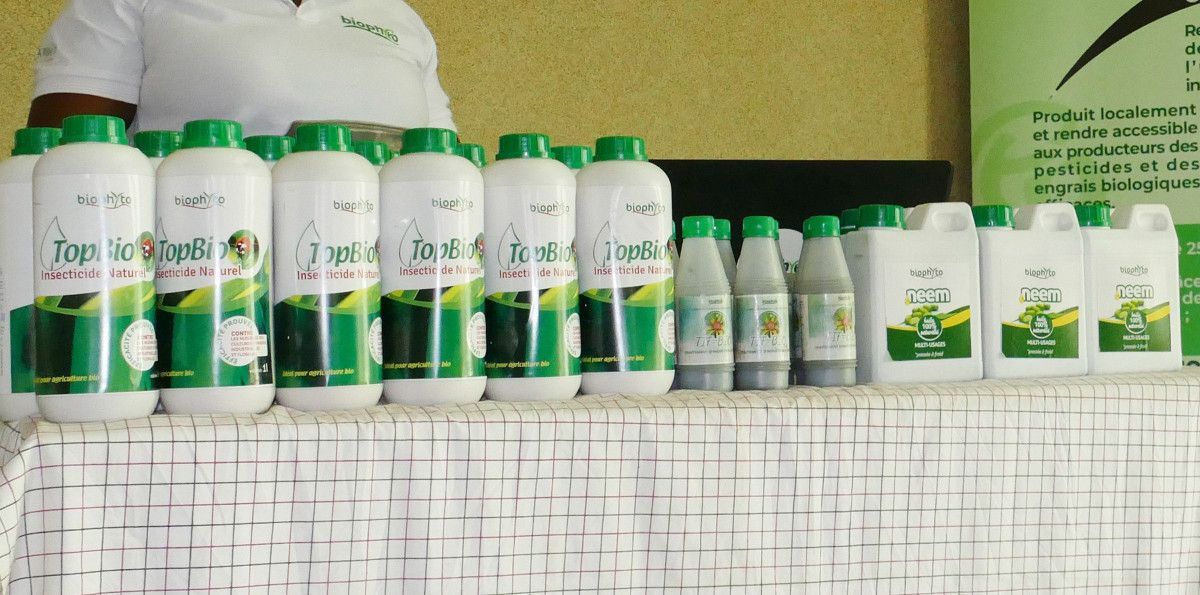 Le Point de Vue des Partenaires - BioPhyto - Nouvelles - Site