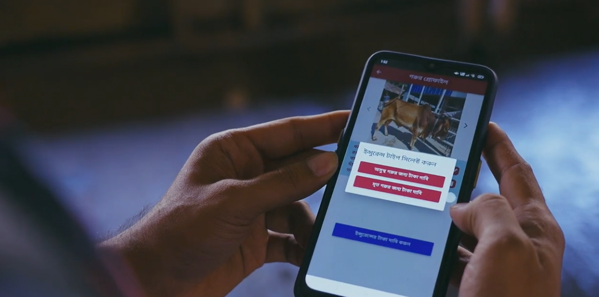 Bangladesh's first-ever muzzle-based cattle identification system for ...