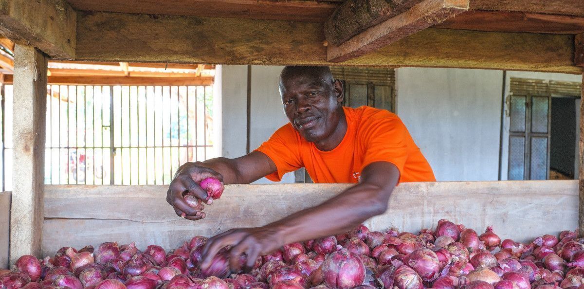 WeWork-green and decent jobs for youth - Projects - Site