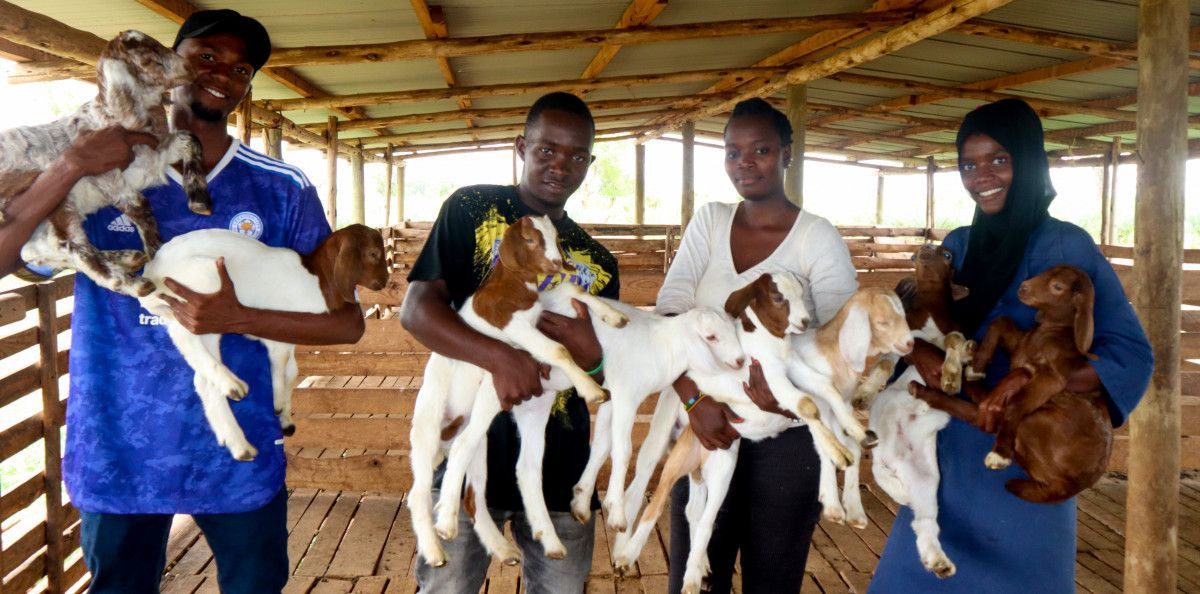 Forum – Tanzania Farmers Community – Agric4Profits