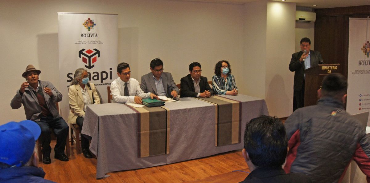 Actores públicos, privados y comunitarios del Altiplano Sur de Bolivia ...