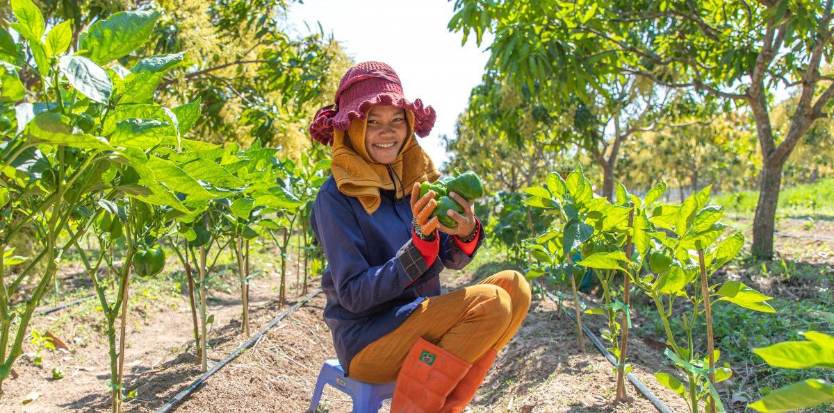 Farmers practicing conservation agriculture, to receive access to ...