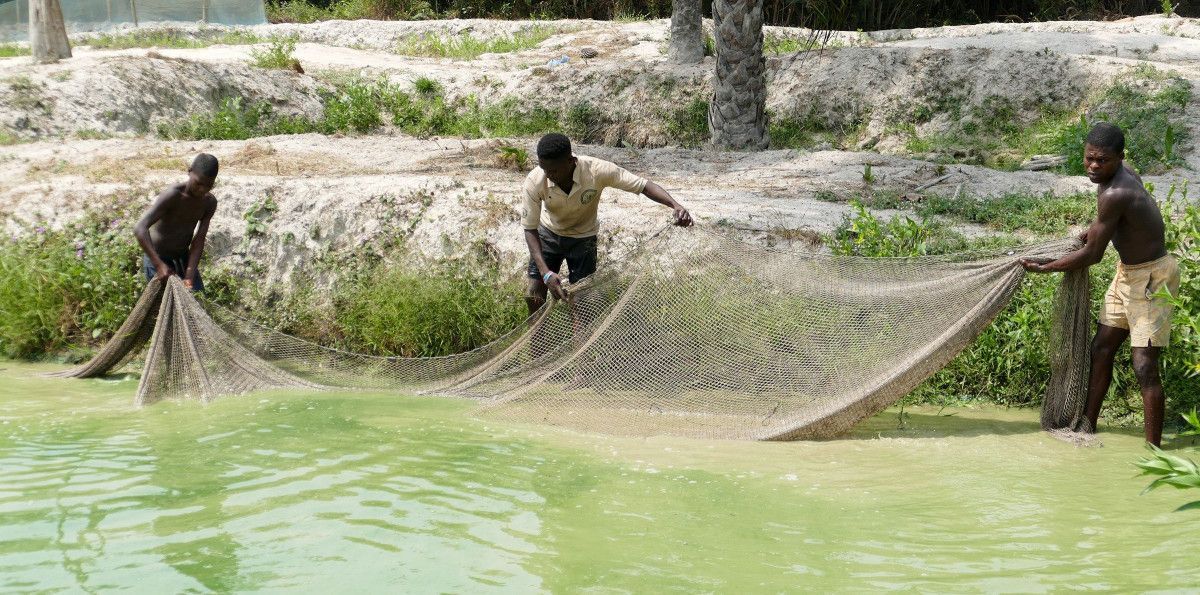 Renforcer la synergie des interventions pour un Développement Durable ...