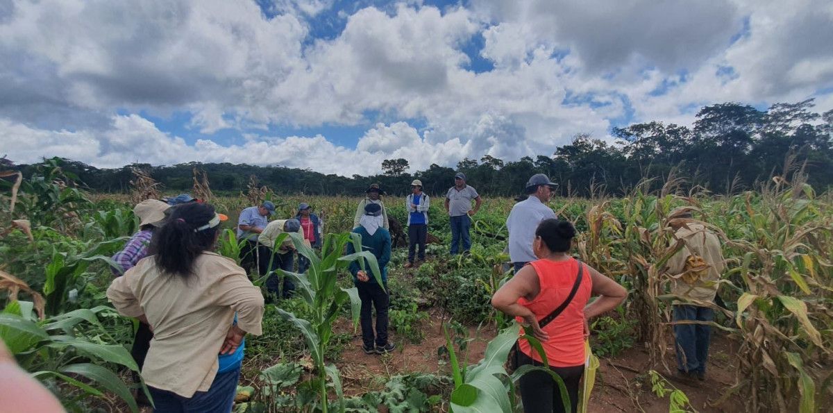 El uso de bioinsumos en la Chiquitania, una alternativa para una ... El uso de bioinsumos en la Chiquitania, una alternativa para una ...