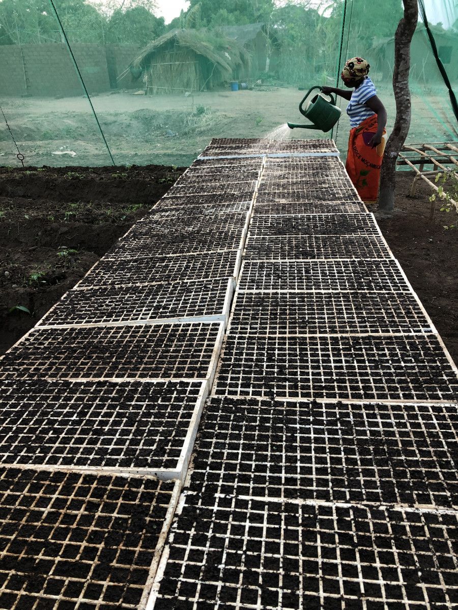 HORTI SEMPRE - Smart Solutions for Smart Agriculture - News - Site